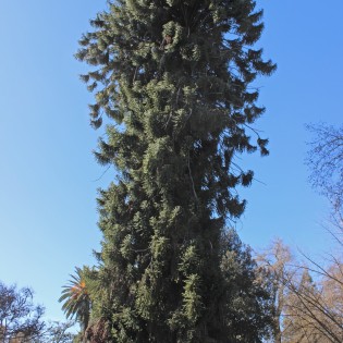 ArchitectureView – Modesto Landmarks – Modestoview