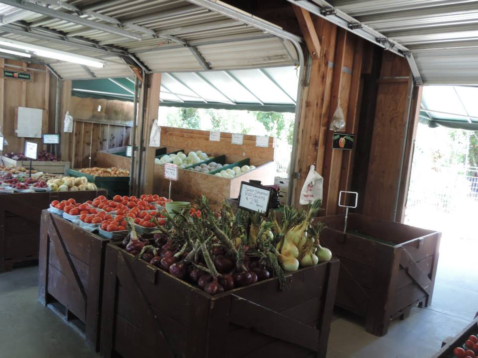 Local Fruit Stands – Modestoview