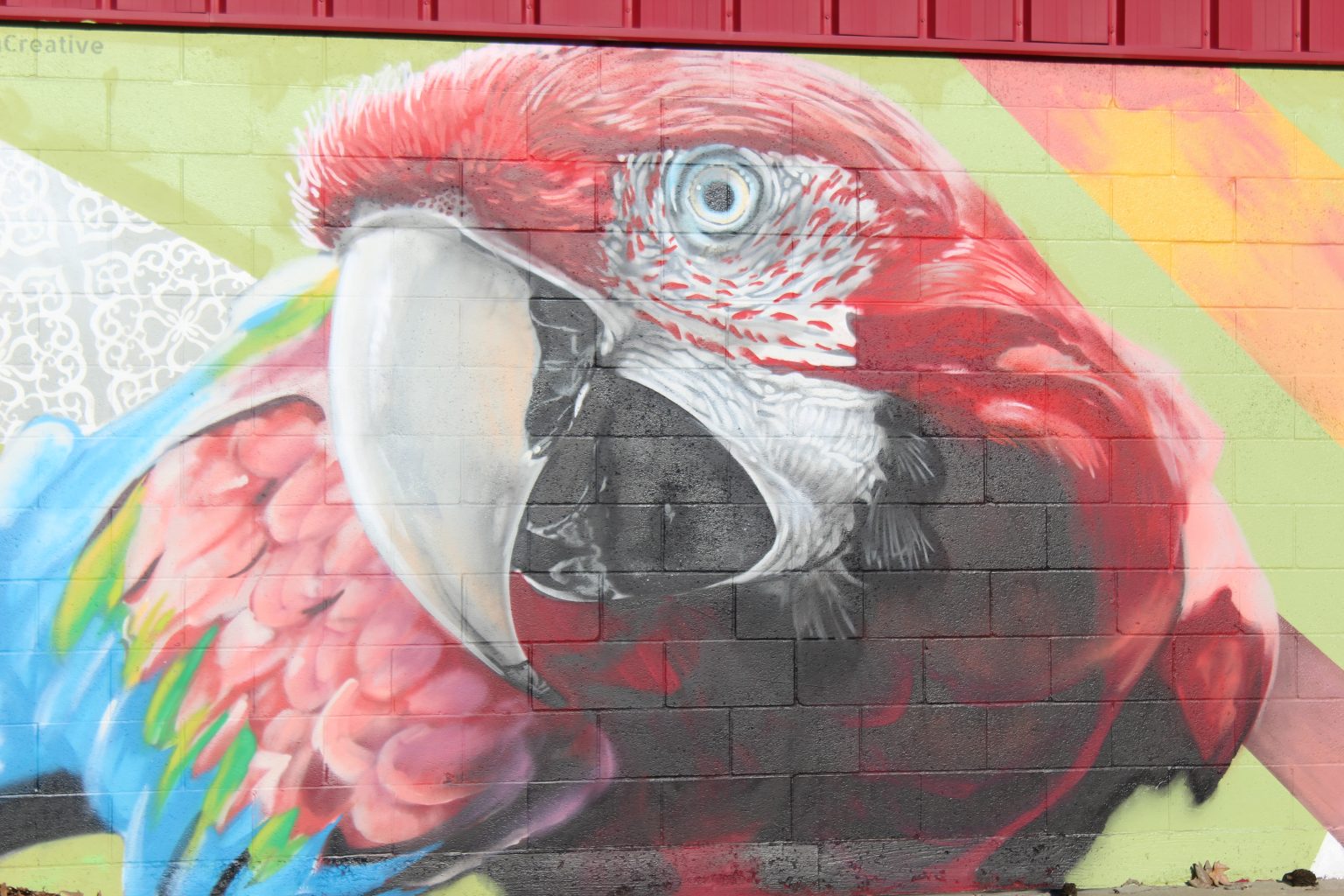 Mural Tour of Downtown Modesto – Modestoview