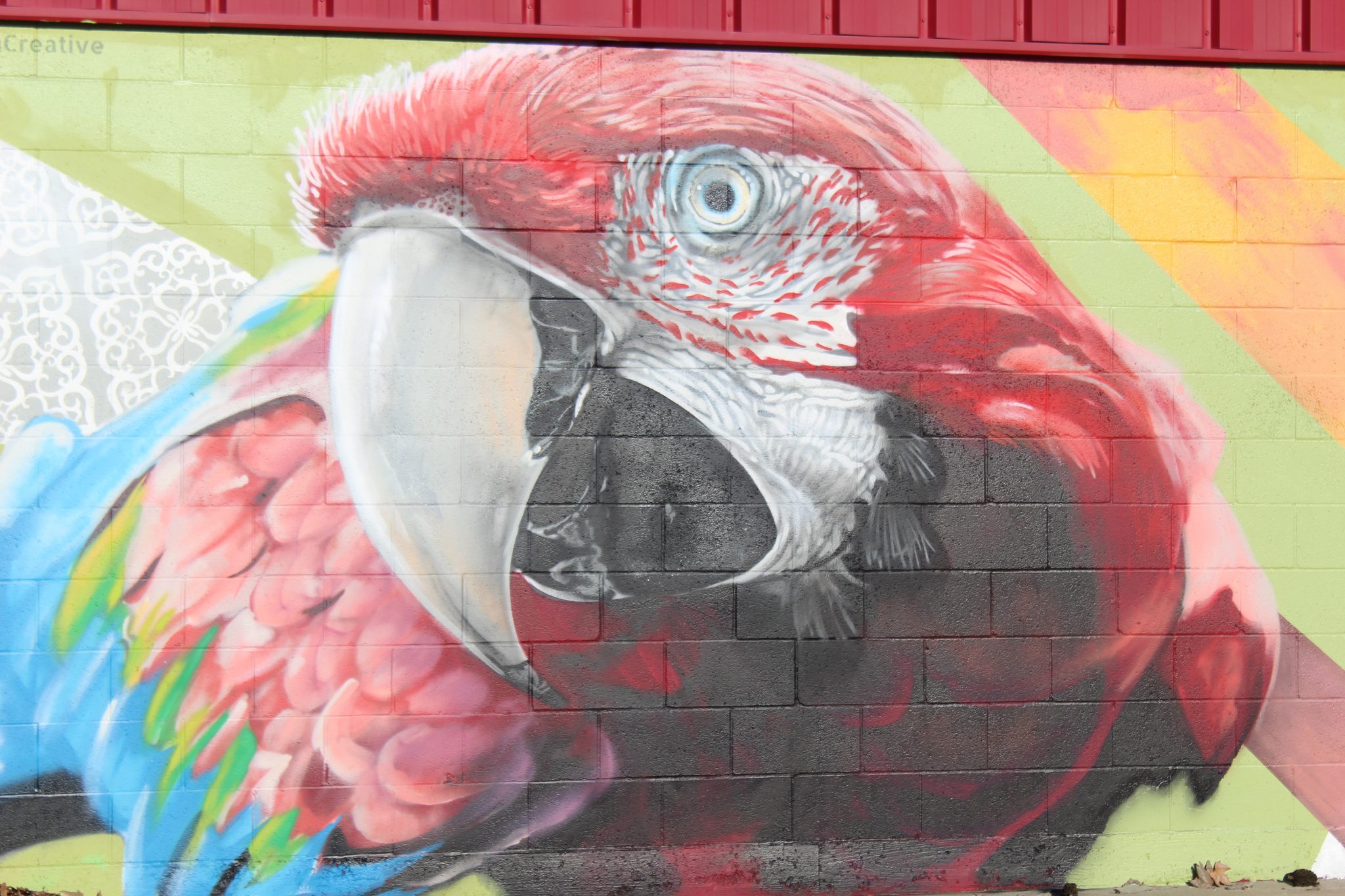 Mural Tour of Downtown Modesto – Modestoview
