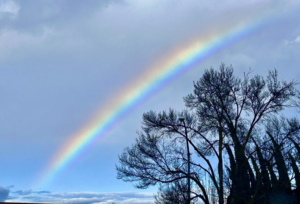 March Into Spring – Modestoview