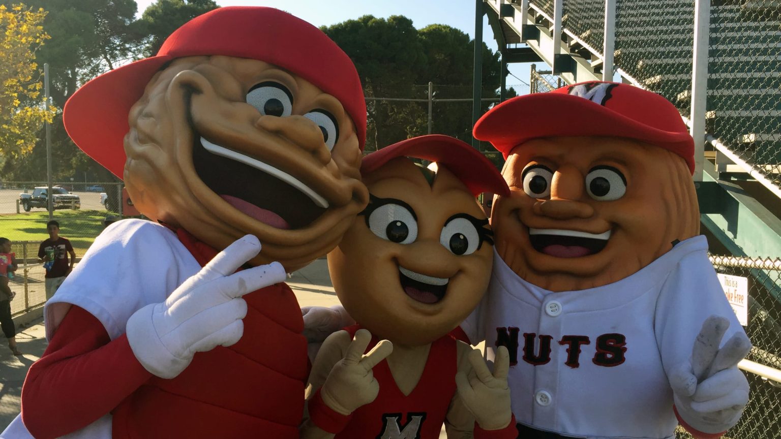 Modesto Nut’s Final Season – Modestoview