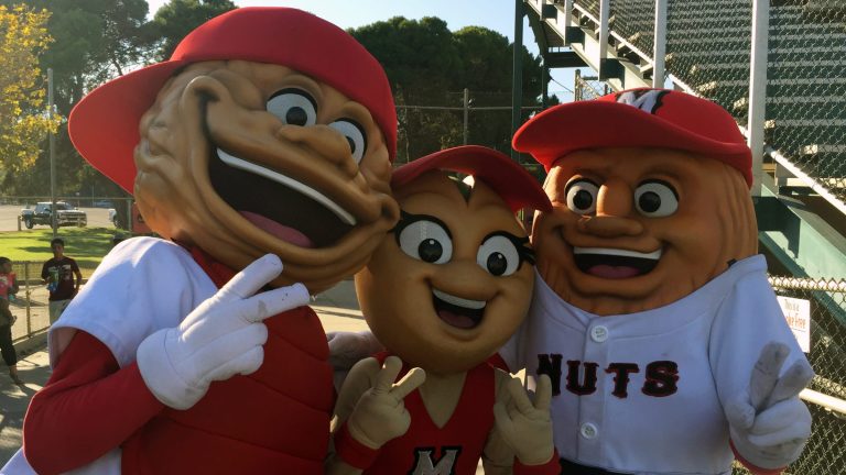 Modesto Nut’s Final Season – Modestoview